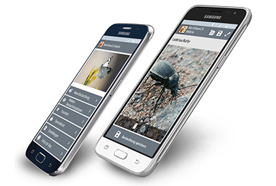 Herzlich willkommen zu MultiBaseCS